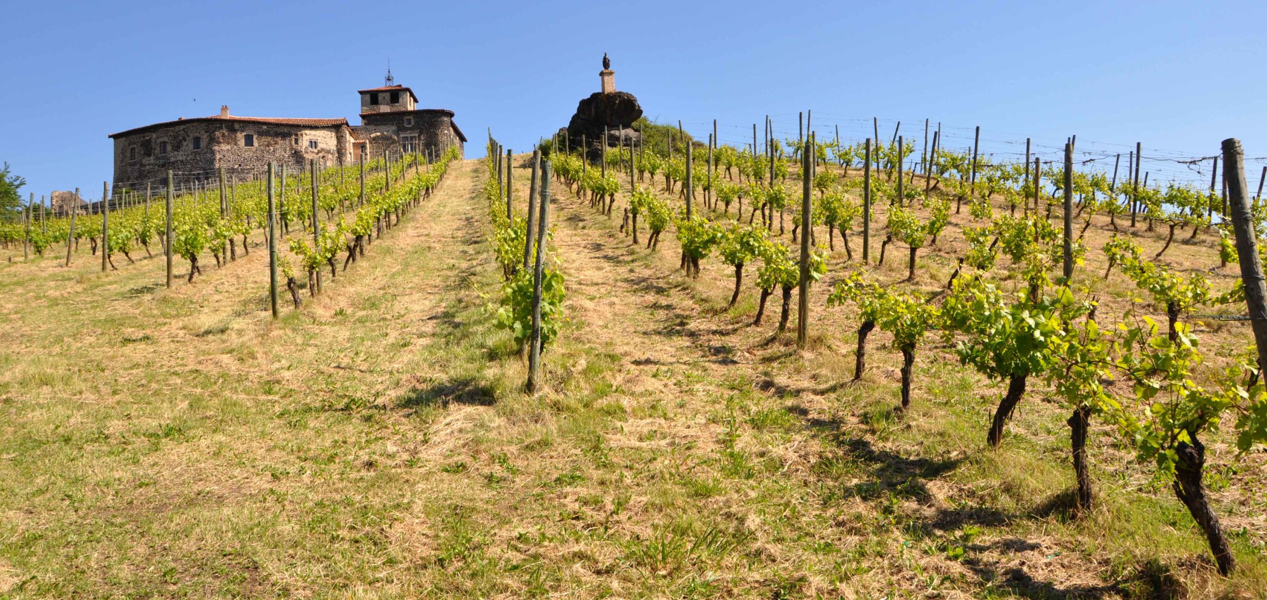 BALADE ÉPICURIENNE & CONCERT BLUES | Le Tour du Forez - Du 2 juin au 8 ...